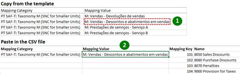 Netsuite Applications Suite Field Mapping For Portugal