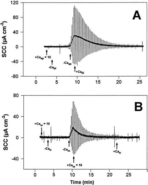 Representative Experiment Of A Group Of 10 Tissues Of The Action Of