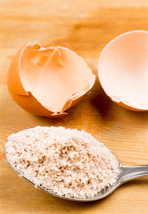 The Best Way To Save And Store Egg Shells In The Winter