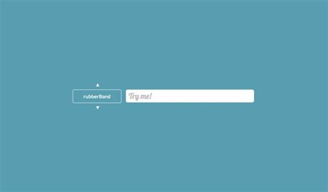 Animatecss Fancy Animated Input Field