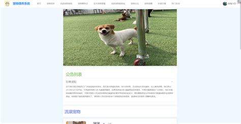 基于spring boot vue的宠物领养系统 csdn博客