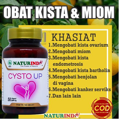 Harga Endometriosis Terbaru Januari 2024 Biggo Indonesia