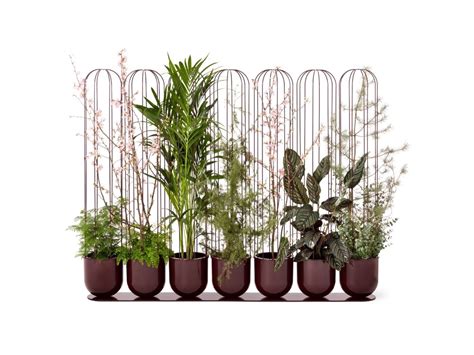 Cacti Planters Landscape Architecture Platform Landezine