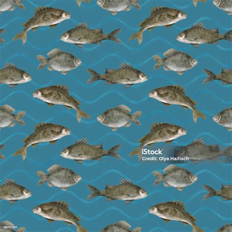 수채화 민물고기 원활한 패턴입니다 손으로 그린 유럽 잉어 일반적인 농어 푸른 물 배경에 농어 물고기 물고기 그림의 학교입니다 호수 강 낚시 해산물 포장 디자인 강에 대한