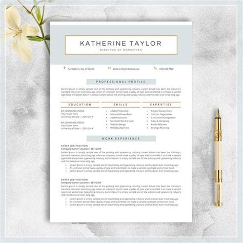 Professional Resume Template CV Template For MS Word Resume Template Professional Resume