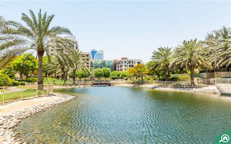 The Greens Area Guide Bayut