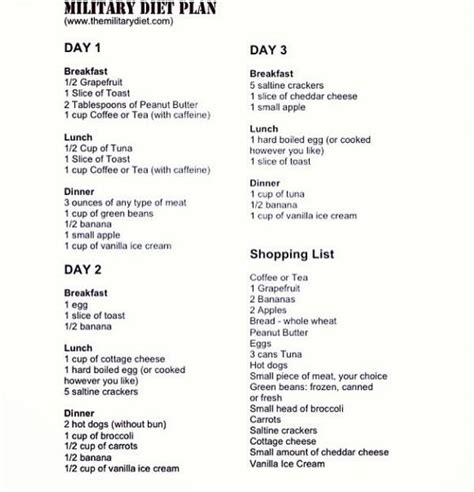 3 Day Liquid Detox Diets Sights Sounds