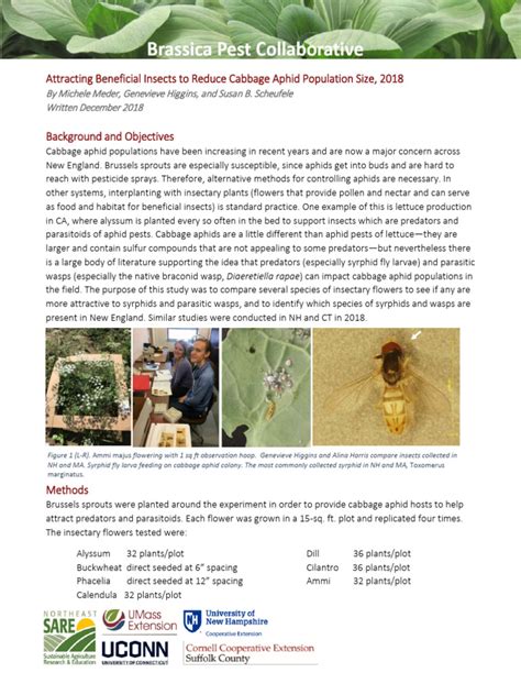 Insectary 2018 Report Pdf Wasp Insects