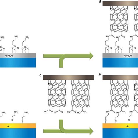 An Illustration Of How Self Assembled Monolayers Of Molecules Can