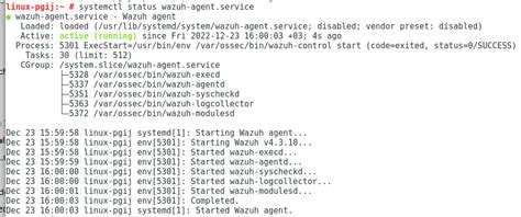 Wazuh Cheat Sheet Network And Development