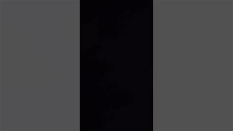 მოდი ჩემთან ჩემოო ბულბული🤍🫂 Youtube