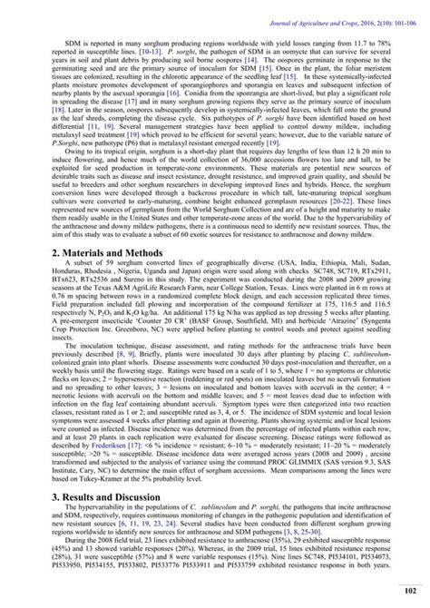 Assessing The Vulnerability Of Sorghum Converted Lines To Anthracnose And Downy Mildew Infection