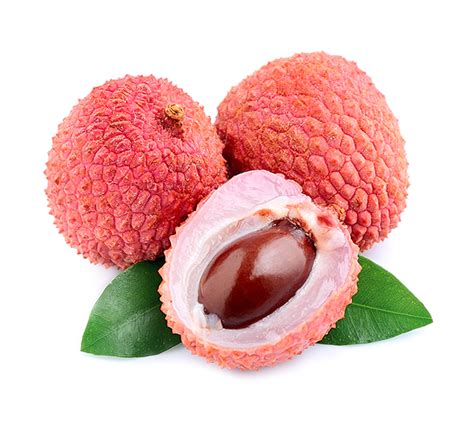 Lychee Sources Health Benefits Nutrients Uses And Constituents At