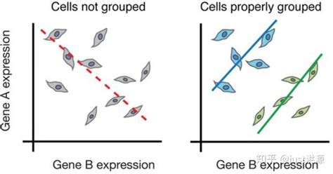 scRNA seq入门 第一章 简单介绍 知乎