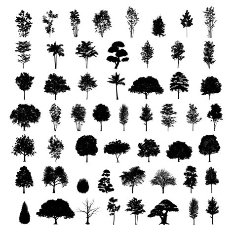 Photoshop Brushes 54 Trees Tree Photoshop Silhouette Architecture