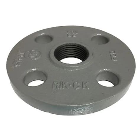 リケン 鋳鉄製 合フランジ 10k コート品 100a 配管部材 コマコート継手 00000874038cdc【別送品】 建築資材