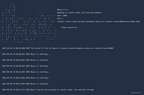 Nacos 2 2 1 Could not resolve placeholder NACOS AUTH IDENTITY KEY 解决