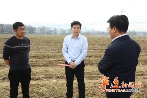 宁远：胡勇刚到乡镇调研粮食生产、乡村产业等工作宁远永州站红网