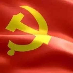 十九大时光 把大伙儿的心声带到大会上 手机新浪网