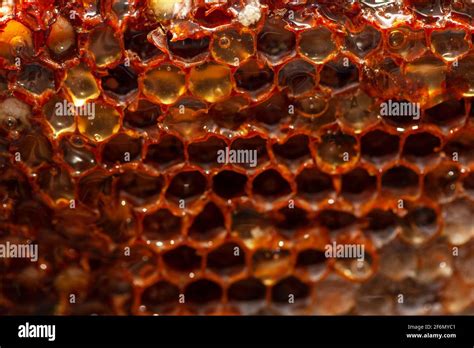 Prisma Hexagonal Hi Res Stock Photography And Images Alamy