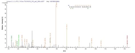 Recombinant Human Cd63 Antigen Cd63 Partial Cusabio
