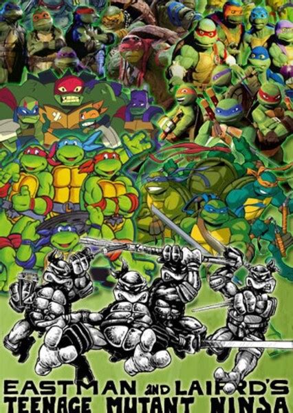 Tmnt Turtles Forever 2 Fan Casting