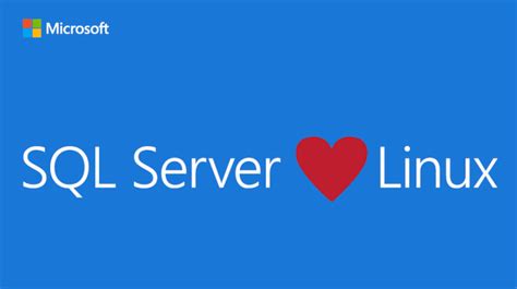 Bak Ms Sql Linux