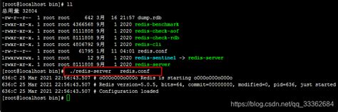 linux 启动redis linux启动redies命令 csdn博客