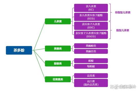 喝了这么多年茶茶多酚儿茶素茶色素到底什么关系 知乎