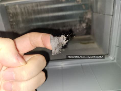 4년 만에 처음 한 삼성 건조기 열교환기 청소 구경 한번 해보실래요 네이버 블로그
