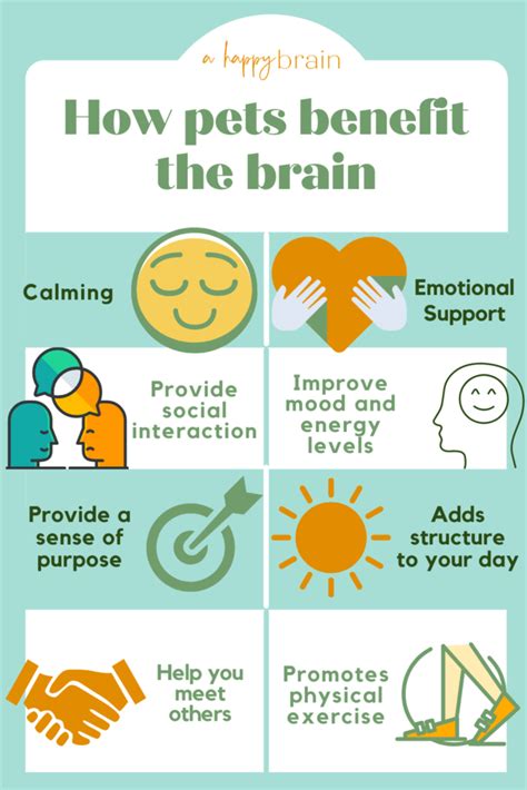 Pets And Mental Health A Dog Is Your Brains Best Friend A Happy Brain