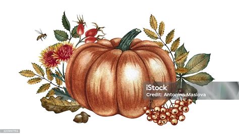 주황색 호박과 잎을 곁들인 가을 구성 수제 수채화 그림 가을의 휴일을 상징하는 컬러 이미지 인사말 및 초대장 배너 및 포스터 스티커 인쇄물 0명에 대한 스톡 벡터 아트 및