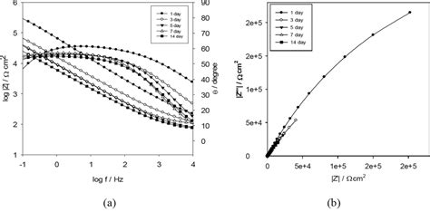 A B Bode And Nyquist Plots For Dipchemically Coated Alloy With