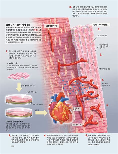 알라딘 미리보기 현대인의 5대 질병