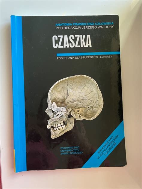 Anatomia Skawina Czaszka Żarki Kup teraz na Allegro Lokalnie