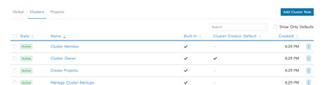 Provide Option To Set Administrative Flag For Cluster Scoped Roles