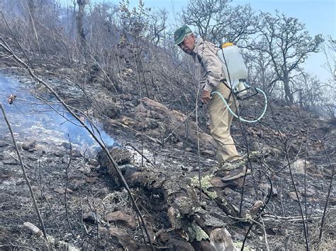 Brigadistas En El Combate De Incendios Forestales En Michoacán