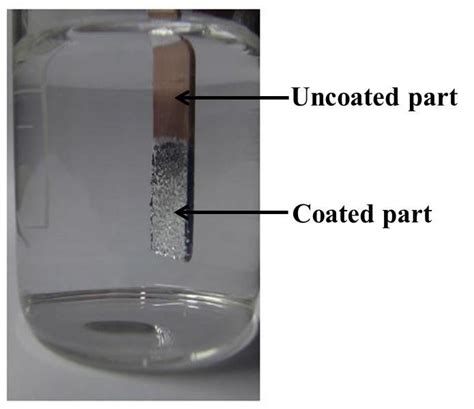 Cu Plate Immersed Into 3 5 Wt NaCl Solution This Figure Is