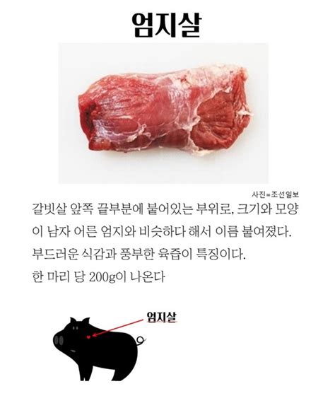 돼지고기 특수부위 종류 알아보기