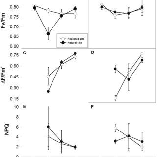 Potential quantum yield Fv Fm effective quantum yield ΔF Fm and Download Scientific