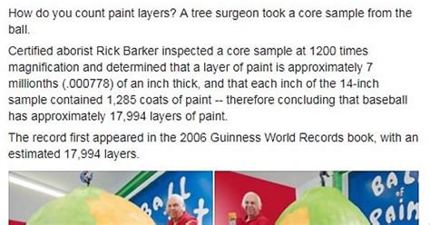 A Tree Surgeon Is A Dendrochronologist Album On Imgur