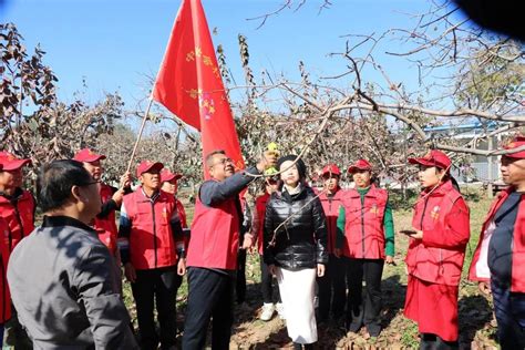 中国农学会科技志愿服务能力提升培训班在鄠邑区开班中国农科新闻网