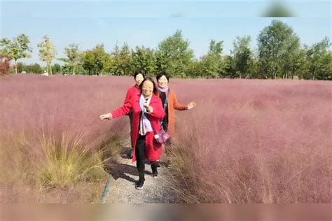 大妈网红草地跳起优美的舞蹈，心情美美哒草地舞蹈心情