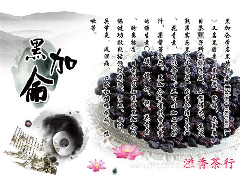 新疆黑加仑新疆黑加仑使用方法 随意云