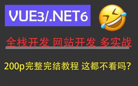 Vue Net Net Vue B Bilibili