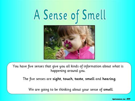 Fun Facts About Sense Of Smell Visual Ly Hot Sex Picture