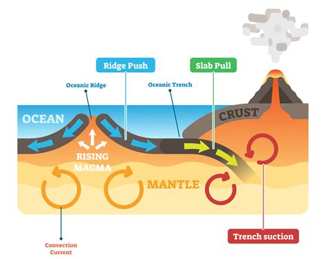 Tectonic Plate Movement Diagram