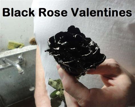 How I Made Black Roses For Valentines Day With Flat Roofing Tar