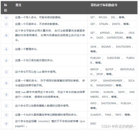 Redis 实战之命令请求的执行过程