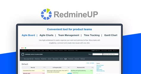 Redmineup Lifetime Deal